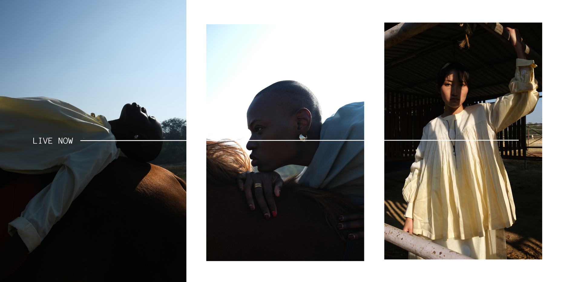 Everyday Luxury & Contemporary Clothing Online – Three Clothing